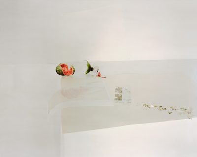 Laura Letinsky, Still Life Photographs 1997–2012 - Robert Evans – Ciel ...